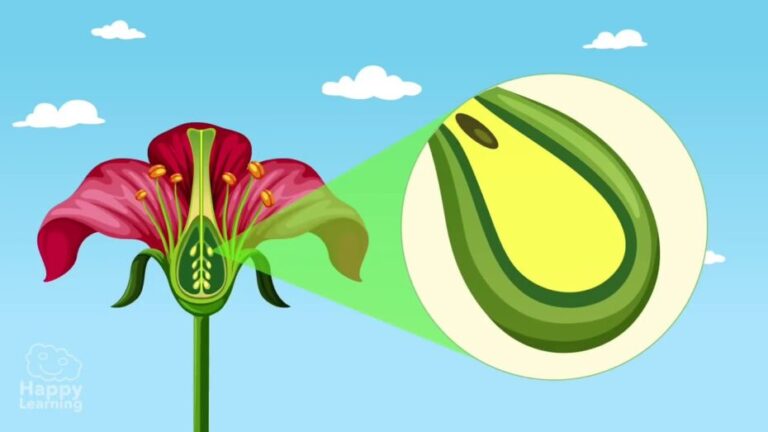 Fecundación de las plantas: Aprende qué es y cómo se lleva a cabo