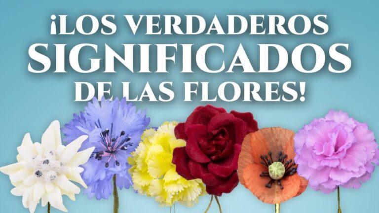Significado y simbolismo de las hermosas flores: Descubre todo sobre ...