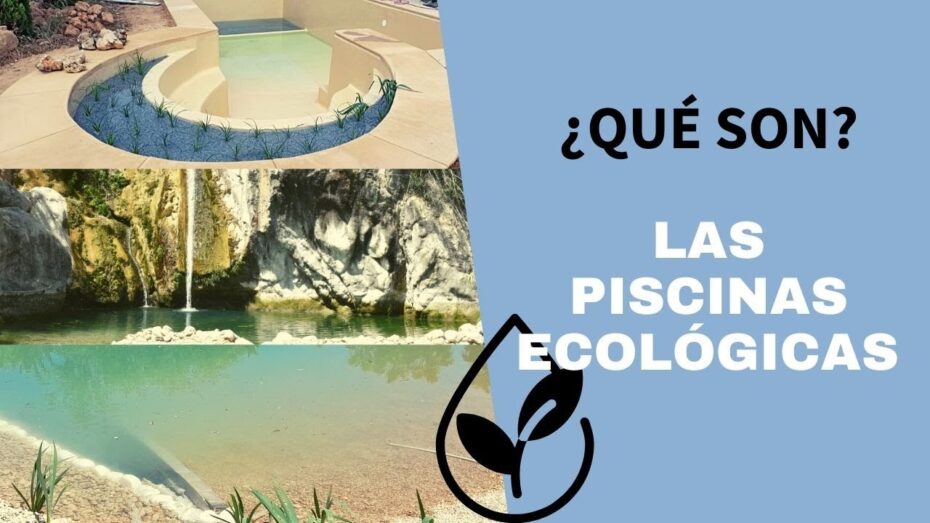 Piscinas biológicas: Descubre cómo funcionan y qué son estas maravillas ...