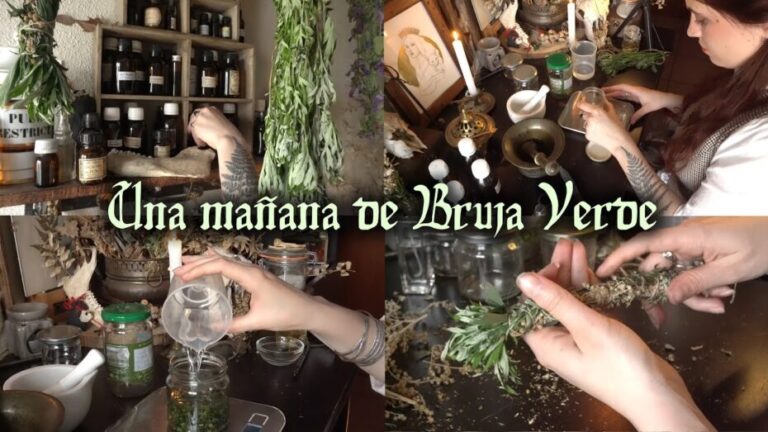 Las 5 plantas mágicas más poderosas asociadas a las brujas: descubre su ...