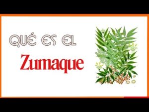 Zumaque (Rhus coriaria): Propiedades botánicas y todo lo que necesitas ...